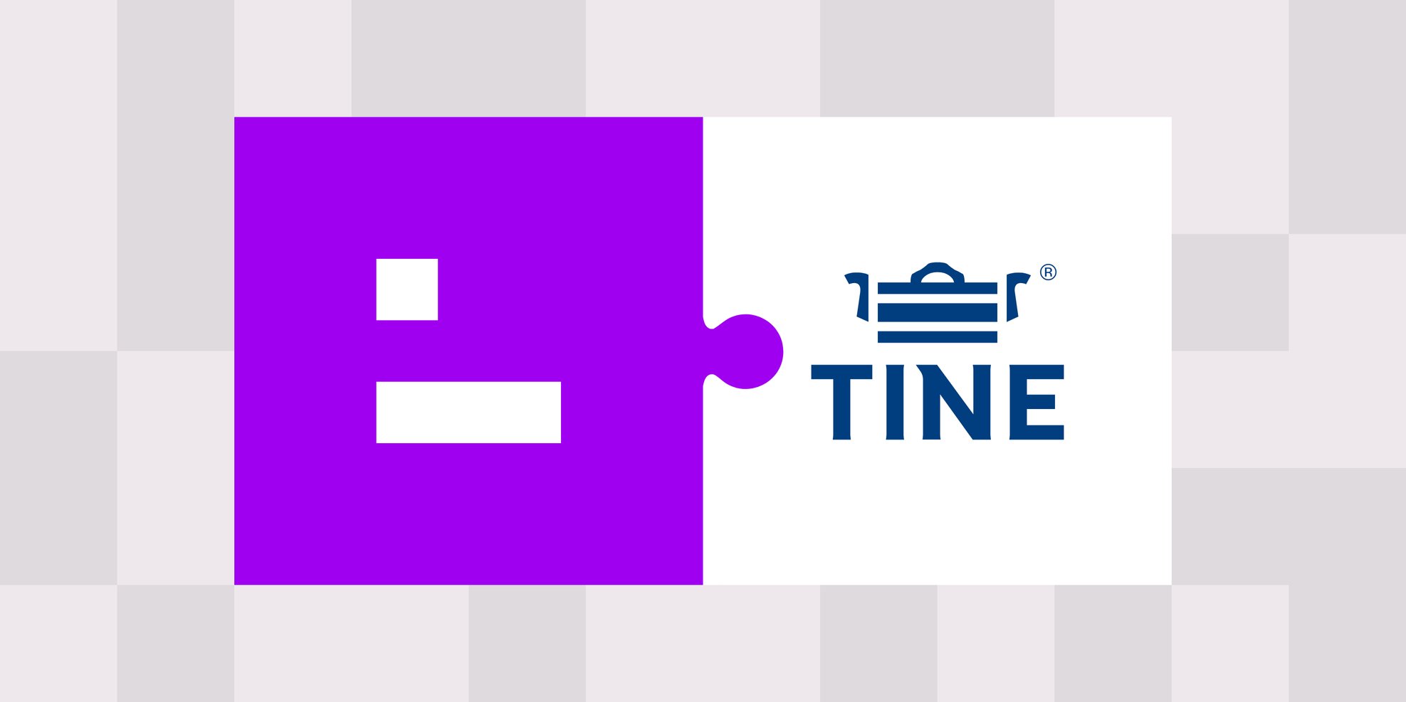 Advancing TINE’s Digital Transformation with Dynamic Data Models